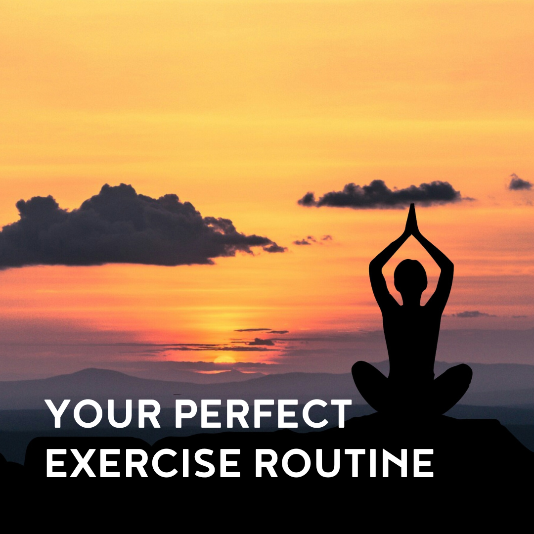 Building Your Perfect Exercise Routine – Dr. David Ludwig