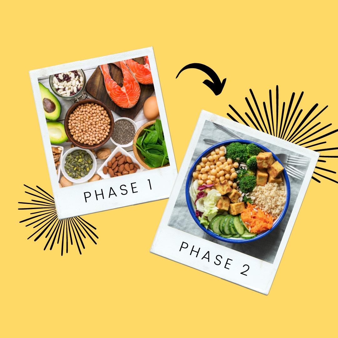 Phase 1 to Phase 2 – Dr. David Ludwig